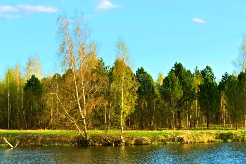 Lake and Forest on the Shore in Early Spring on a Clear Sunny Day ...