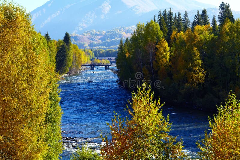 Lake and Forest in Sichuan,china Stock Photo - Image of protected, lake ...