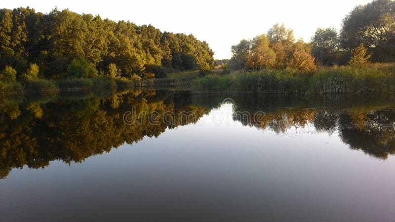 Lake stock image. Image of lake, forest, water, trees - 81325363