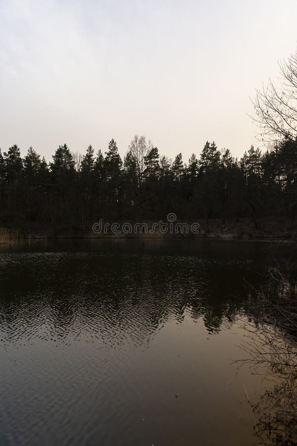 A Lake in the Forest in Windy Weather with the Reflection of Trees ...
