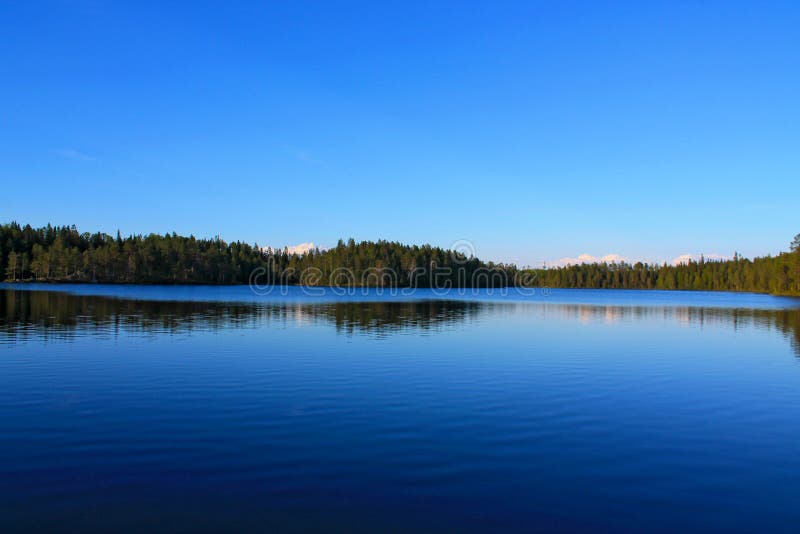 A lake in a forest stock photo. Image of water, nature - 66525388