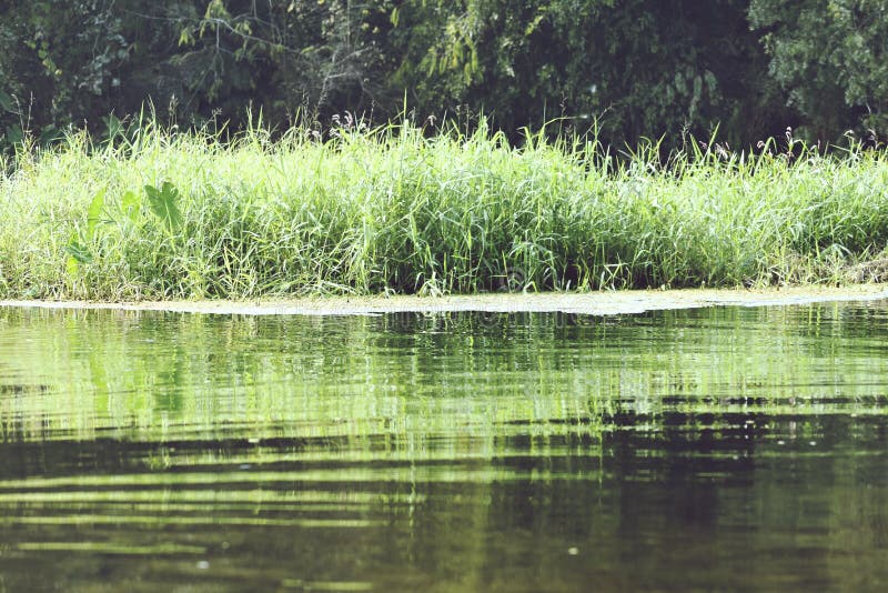 A Lake - Fresh Water Bodies Stock Photo - Image of river, pond: 231095566