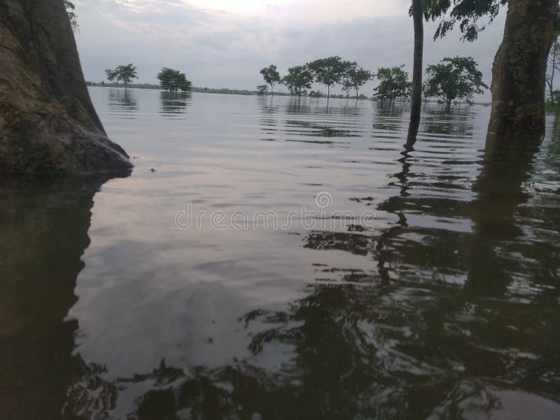 The Lake is Full To the Brim with Water Stock Photo - Image of pond ...