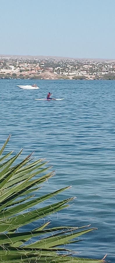 Lake fun adventures stock photo. Image of leaf, branch - 231832038