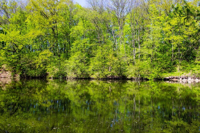 Lake in green forest stock photo. Image of idyllic, outdoor - 94300436