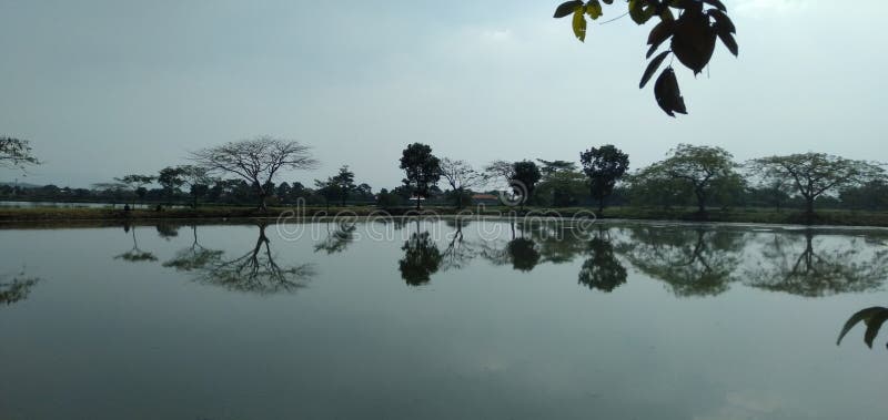 Lake with Green Trees and Cool Breeze in Indonesia Stock Image - Image ...