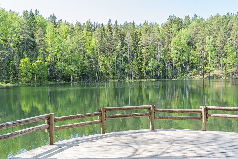 Lake with Green Water, Lake View and Green Trees Stock Photo - Image of ...