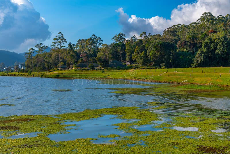 Lake Gregory at Nuwara Eliya, Sri Lanka Stock Image - Image of ...