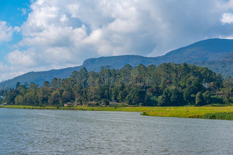 Lake Gregory at Nuwara Eliya, Sri Lanka Stock Photo - Image of center ...