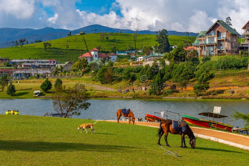 Lake Gregory at Nuwara Eliya, Sri Lanka Stock Photo - Image of park ...