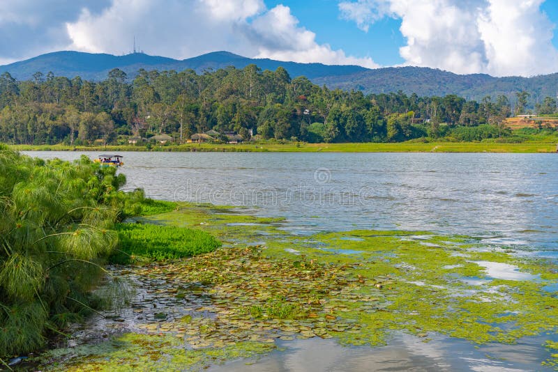 Lake Gregory at Nuwara Eliya, Sri Lanka Stock Image - Image of highland ...