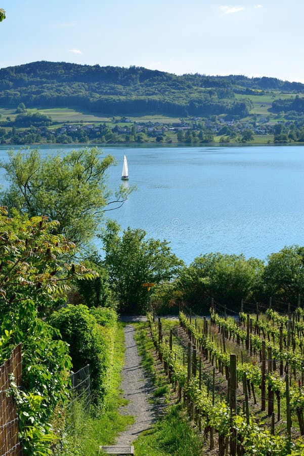 Lake Hallwil Switzerland stock photo. Image of water - 40947576