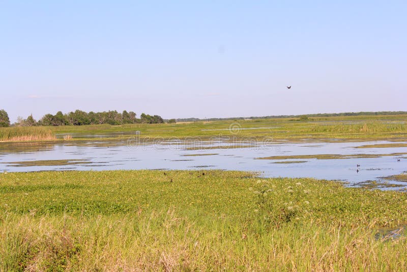 Lake Hancock at Lake Hancock Boat Ramp Stock Image - Image of horizon ...