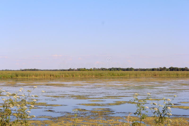 Lake Hancock at Lake Hancock Boat Ramp Stock Image - Image of grassland ...