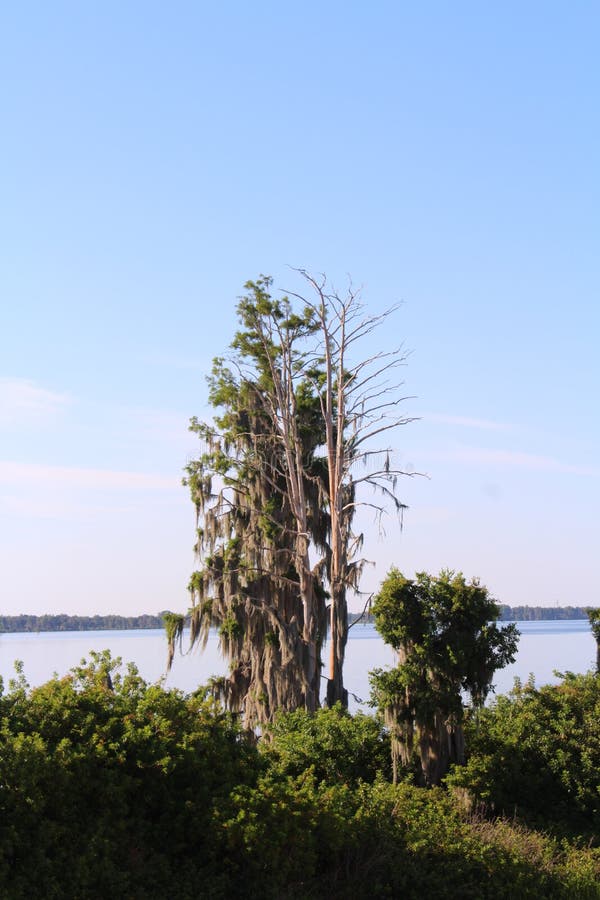 Lake Hancock at Lake Hancock Boat Ramp Stock Photo - Image of ...