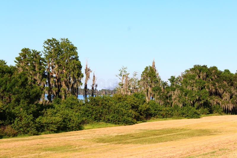 Lake Hancock at Lake Hancock Boat Ramp Stock Photo - Image of landscape ...