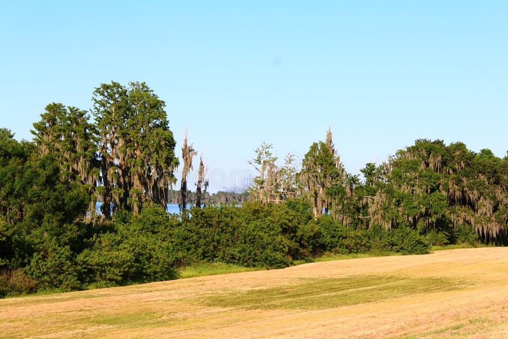 Lake Hancock at Lake Hancock Boat Ramp Stock Photo - Image of landscape ...