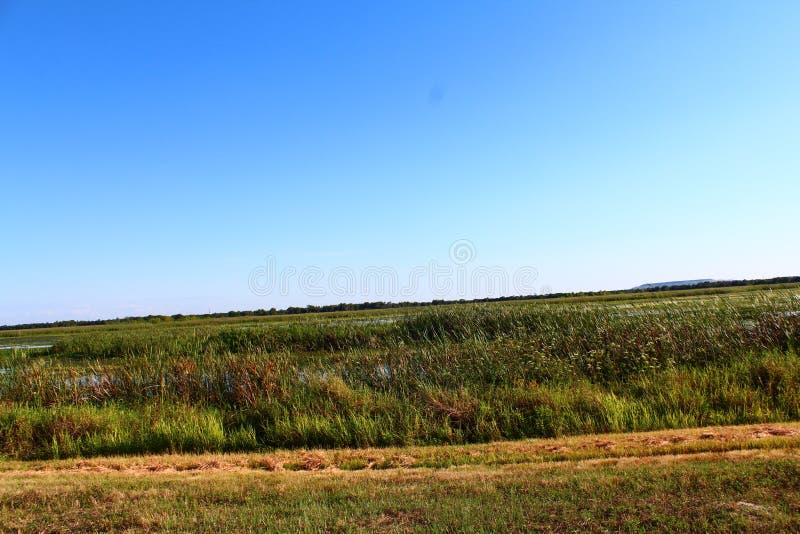 Lake Hancock at Lake Hancock Boat Ramp Stock Image - Image of meadow ...