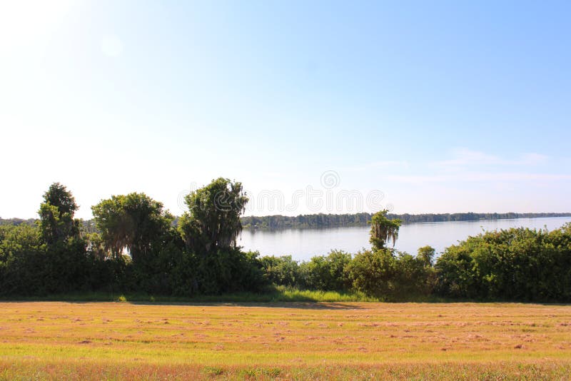 Lake Hancock at Lake Hancock Boat Ramp Stock Image - Image of flower ...
