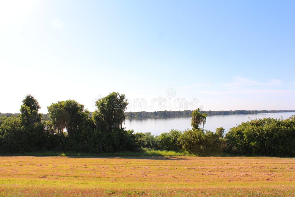 Lake Hancock at Lake Hancock Boat Ramp Stock Image - Image of flower ...