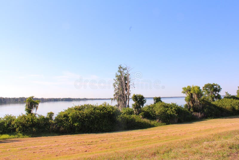 Lake Hancock from Panther Point Trail Stock Photo - Image of trail ...