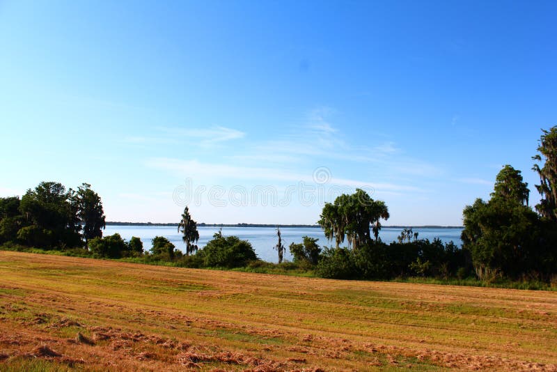 Lake Hancock from Panther Point Trail Stock Photo - Image of point ...