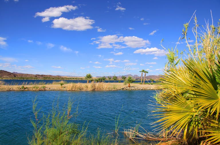 Lake Havasu stock image. Image of palm, photographic - 19914621