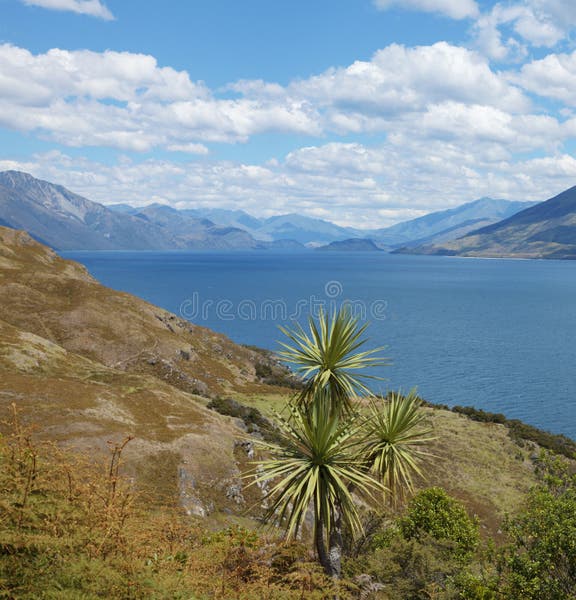 Lake Hawea stock image. Image of south, beautiful, destination - 20907025