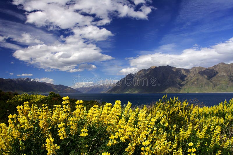 Lake Hawea (5) Picture. Image: 6613327