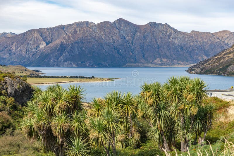 Lake Hawea New Zealand stock photo. Image of south, isthmus - 316085744