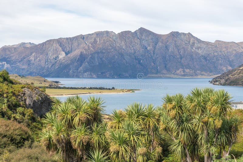 Lake Hawea New Zealand stock photo. Image of blue, peak - 316085758