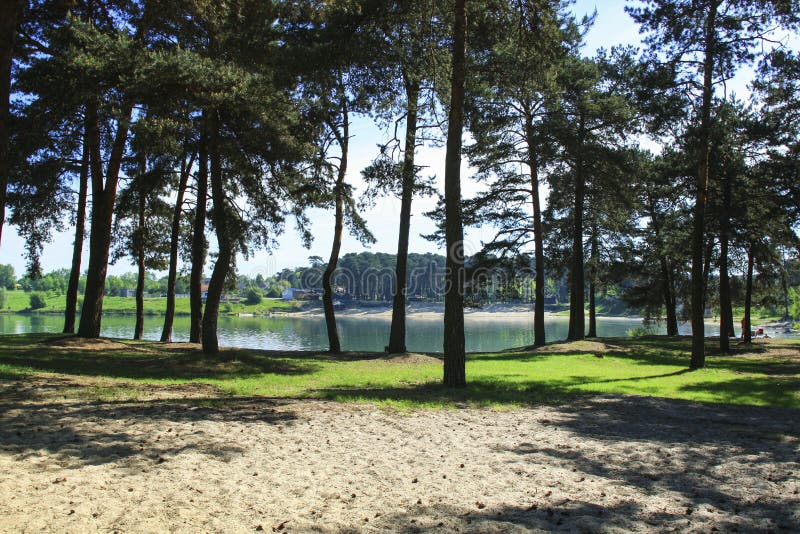 A Lake Hidden in the Forest. Sandy Beach among Pine Trees Stock Photo ...