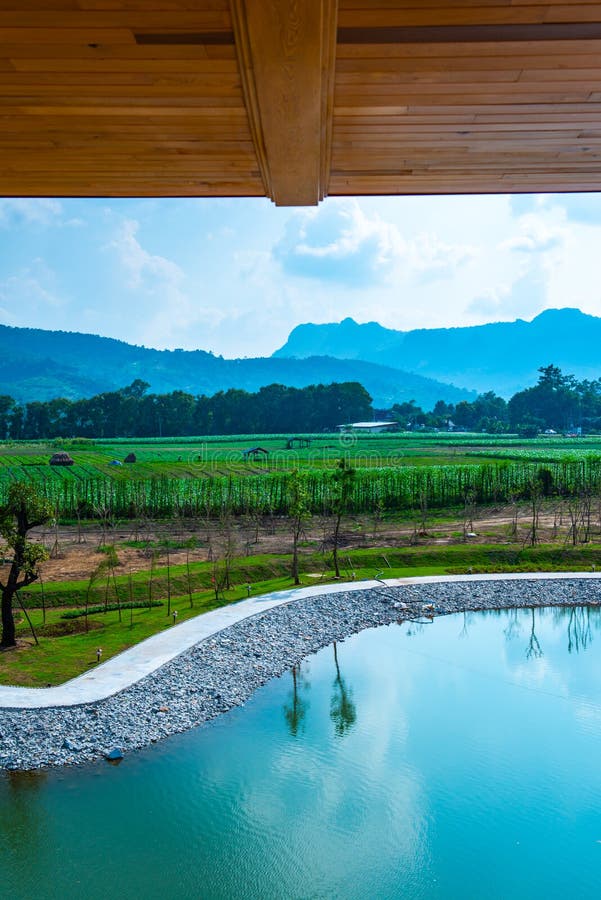 The lake in Hinoki land stock photo. Image of oriental - 129093530