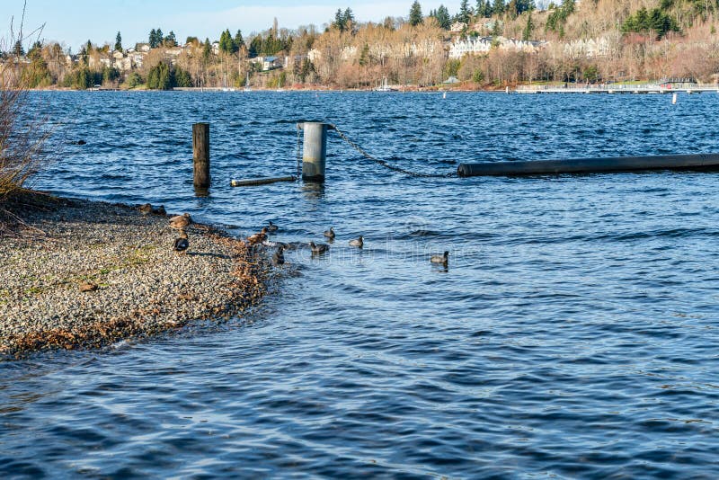 Renton Lake Waterfront Homes 5 Stock Photo - Image of architecture ...
