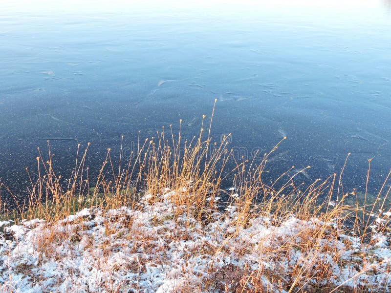 Lake in ice and plants stock image. Image of natural - 68167237