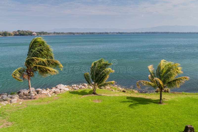 Lake Izabal in Eastern Guatema Stock Photo - Image of river, grass ...