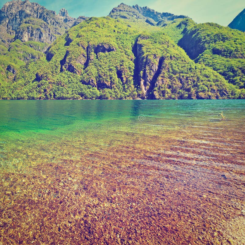 Lake stock image. Image of lake, bushes, outdoor, reserve - 41704613