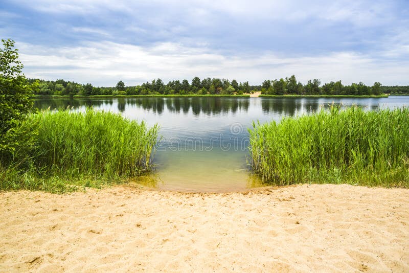 Lake Landscape. Beautiful View of the Lake in Summer Stock Image ...
