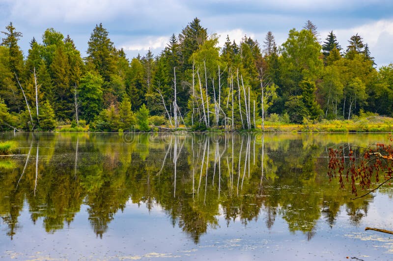 Lake Landscape at Pfrunger Ried, Germany Stock Photo - Image of ...