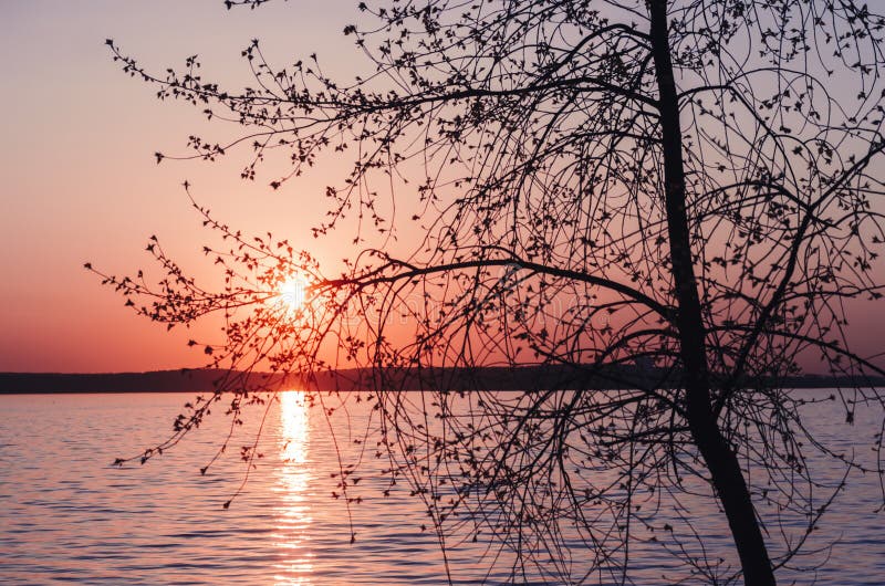 Sunset on Lake stock image. Image of landscape, cloud - 108012919