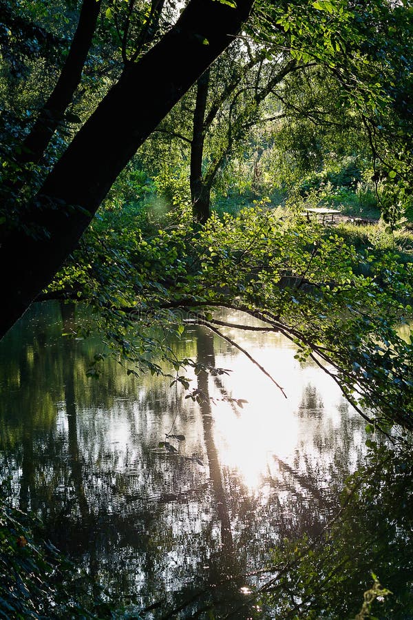Lake landscape stock image. Image of tree, reflection - 81866291