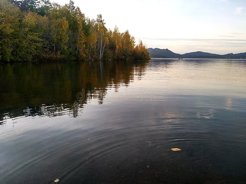 Lake Lean in Water Trees Autumn Stock Image - Image of lean, autumn ...