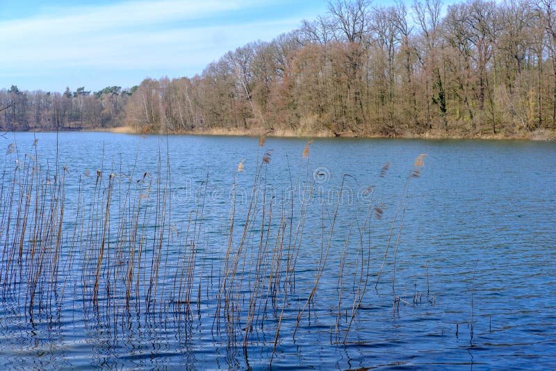 Lake in Early Spring stock image. Image of destination - 174983719