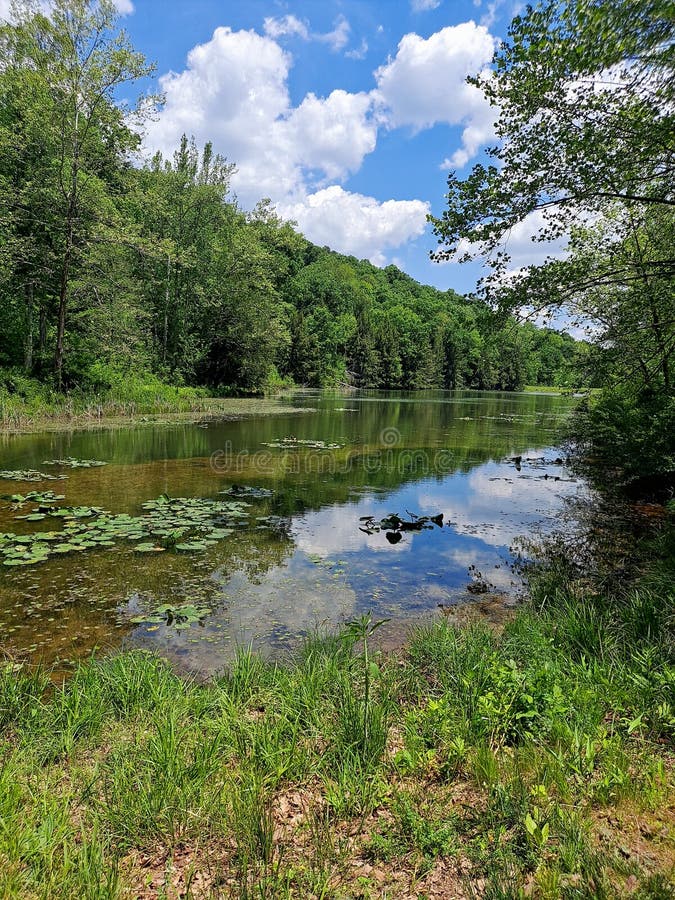 Lake of Life stock photo. Image of nature, lake, life - 220966570