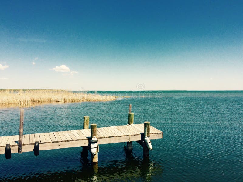 Lake life stock image. Image of lake, beautiful, life - 74420337