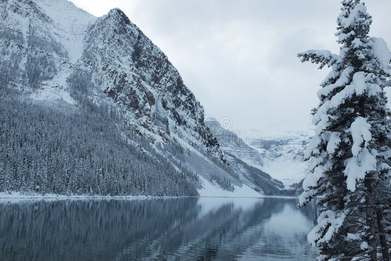 LAKE LOUISE, CANADÁ - 18 DE FEVEREIRO DE 2019: Povos Que Apreciam O ...