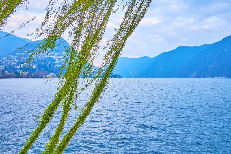 Lake Lugano through the Willow Branches, Lugano, Switzerland Stock ...