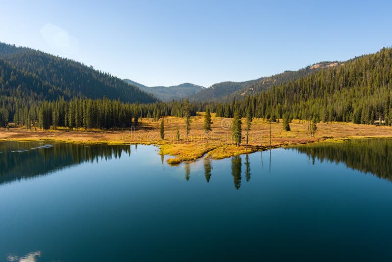 Lake Marsh with Grasses and Pines Stock Image - Image of bull, forest ...