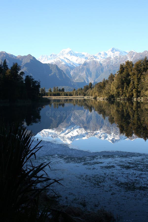 Morning at Matheson Lake West Coast South Island New Zealand Stock ...