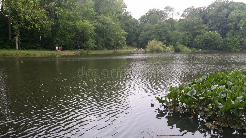 Haddon Lake Park Stock Photos - Free & Royalty-Free Stock Photos from ...